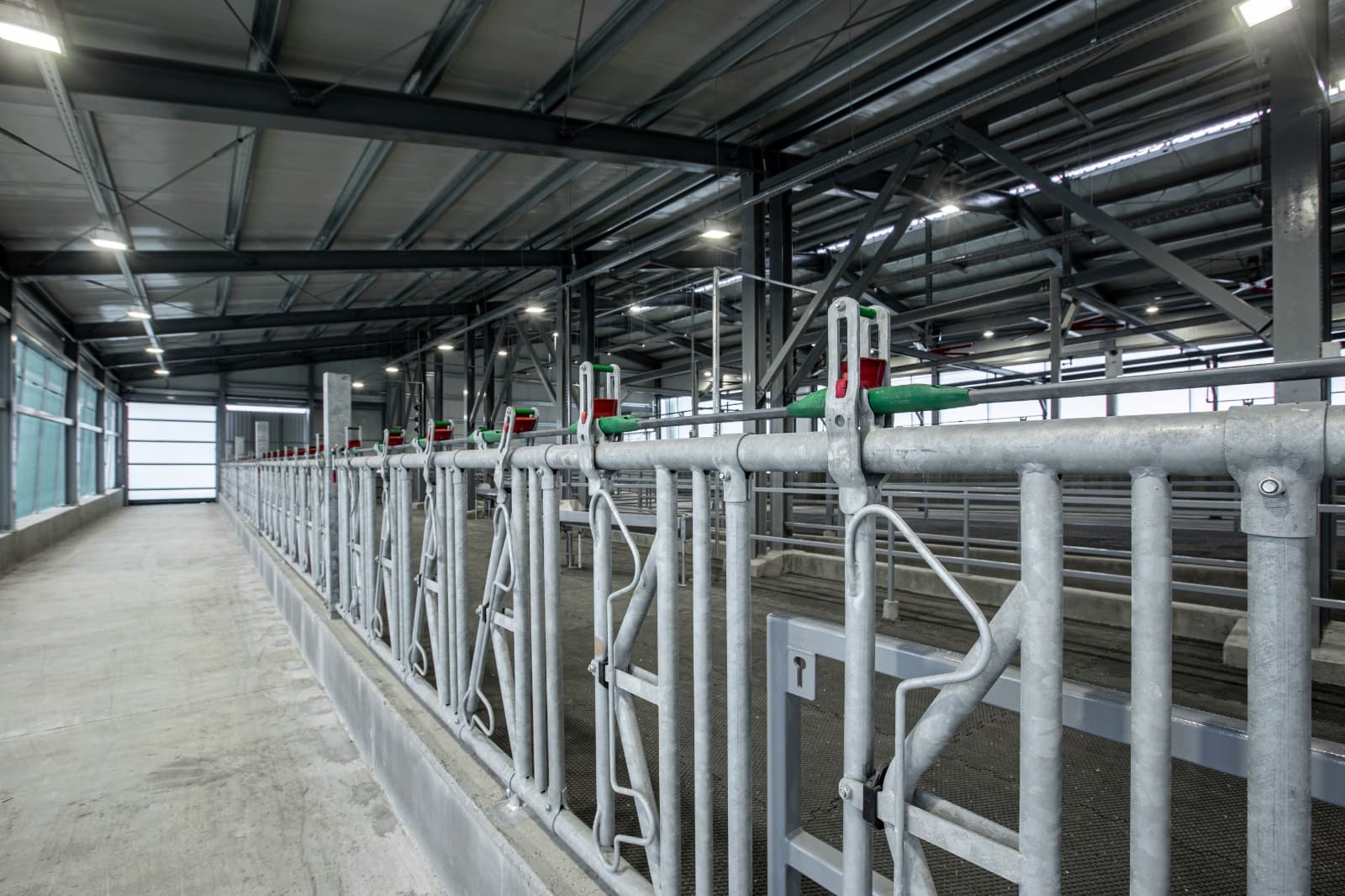 Milk Production Integration | Herman Zemel